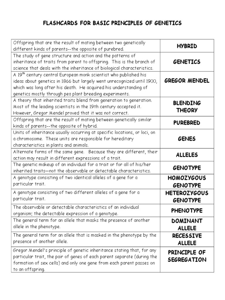 Genetics Flash Cards Pdf Dominance Genetics Genotype