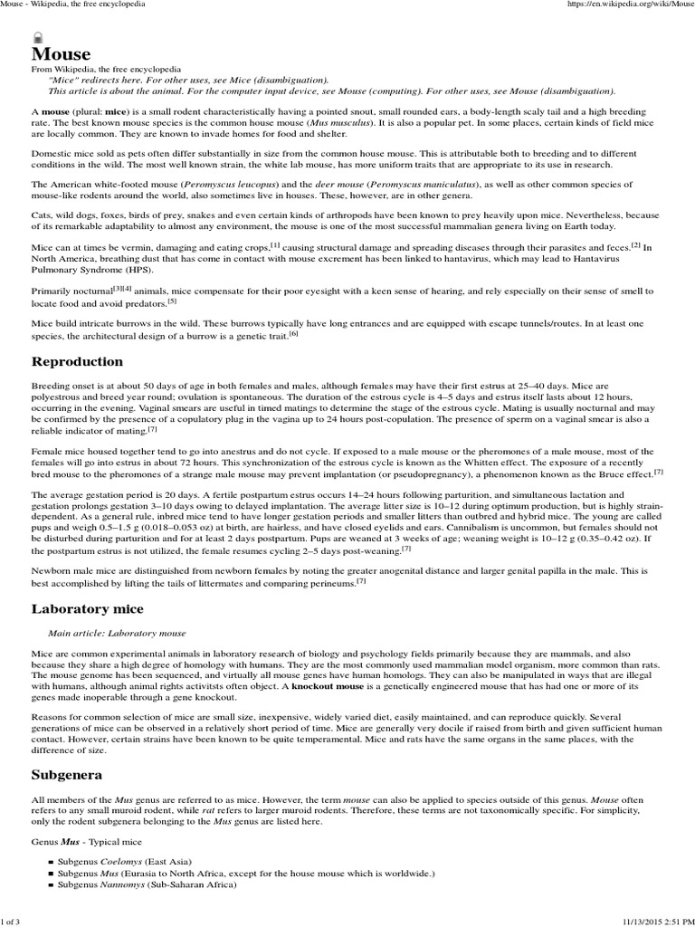 Mouse Pdf Mouse Rodent