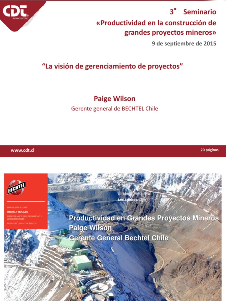 La Vision de Gerenciamiento de Proyectos Paige WIlson Bechtel Chile ...