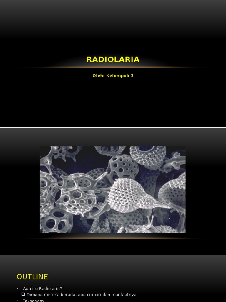 RADIOLARIA | PDF