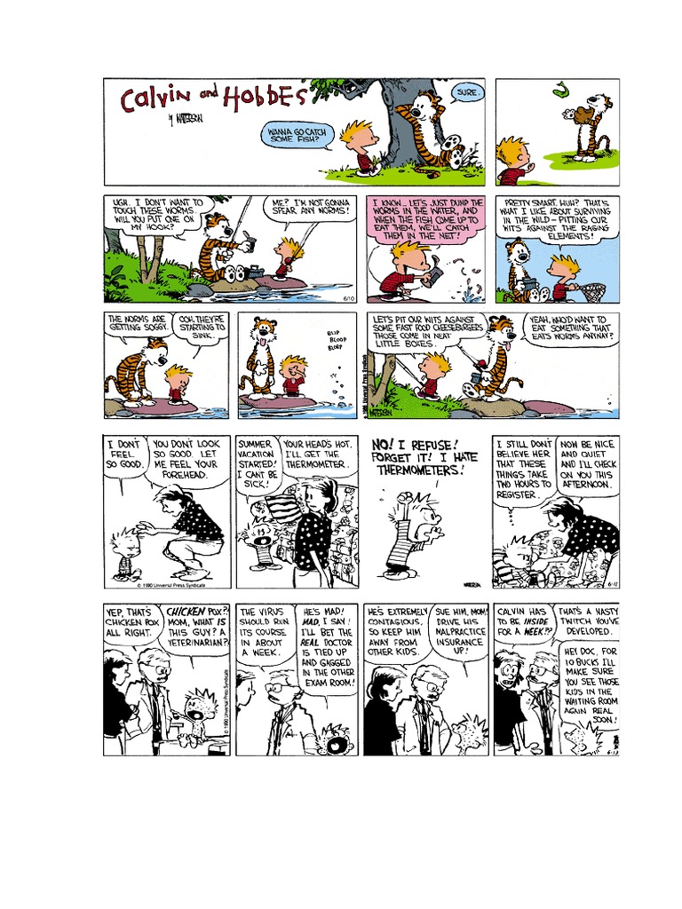 Calvin and Hobbes - Comic Strips PDF | PDF | Comic Strips | American ...