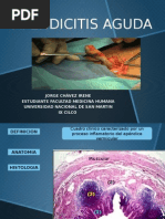Plastrón Apendicular: Definición y Diagnóstico | PDF