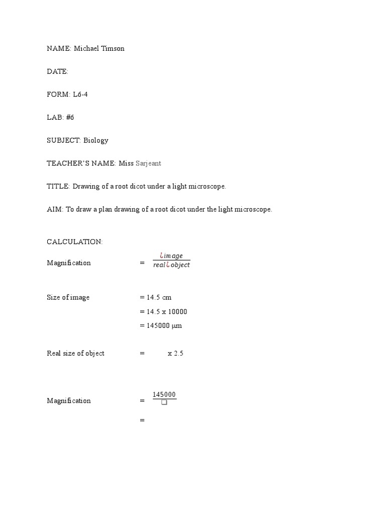 Lab 6 Drawing of A Root Dicot Under A Light Microscope. | PDF | Root ...