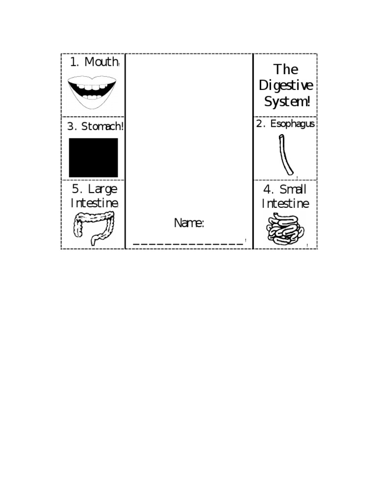 Digestion Cards | PDF | Self-Improvement