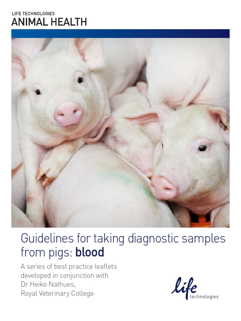 Guidelines For Taking Diagnostic Samples From Pigs: Blood | PDF | Elisa ...