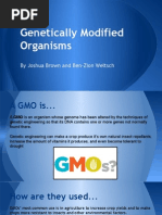 Test On Gmos GM Foods Cloning b1b2 Grammar Drills Information Gap ...