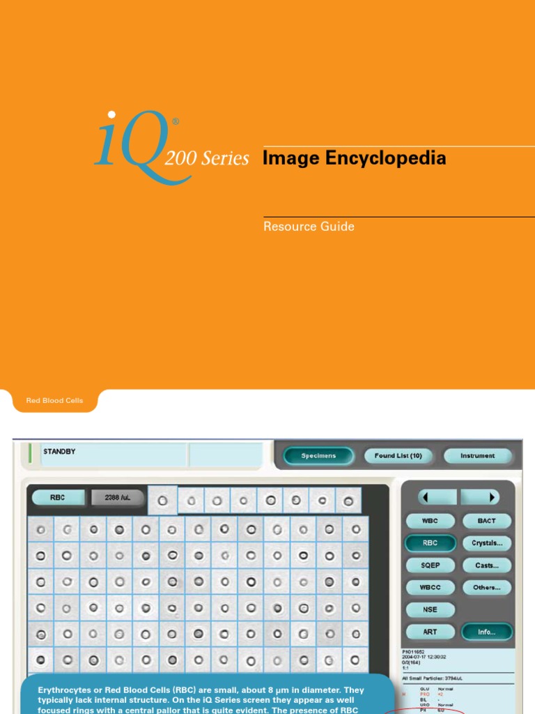Iq 200 Series ImageEncyclopedia | PDF | White Blood Cell | Epithelium