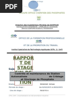 Organigramme Et Filiales de OCP | PDF