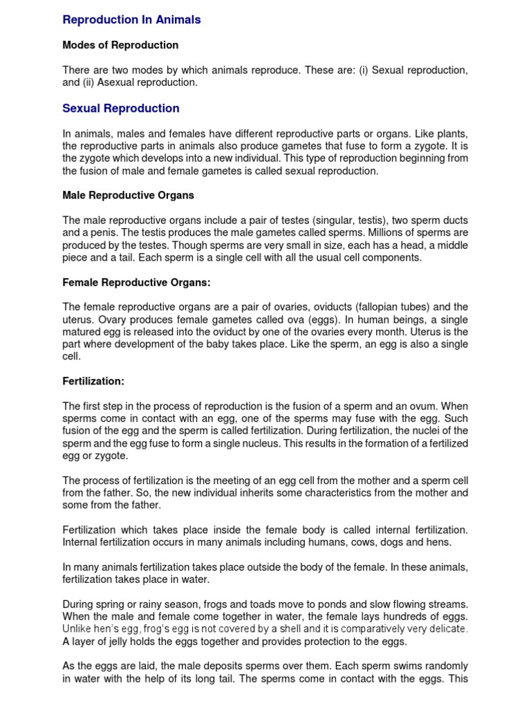 Reproductive Processes in Animals | PDF | Fertilisation | Sexual ...