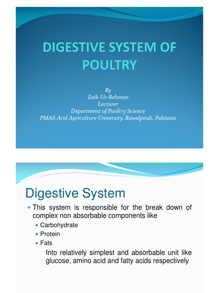 Digestive System of Poultry Avian Physiology | Download Free PDF ...