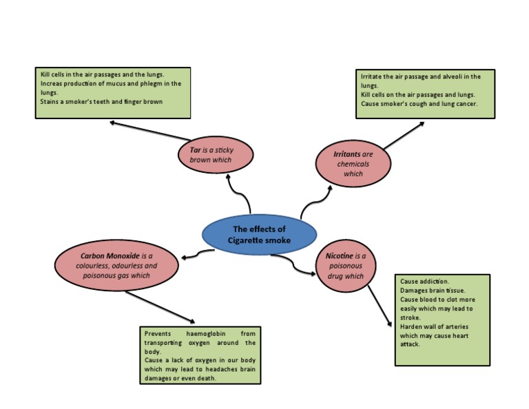 Smoking Effects (Mind Map) | PDF