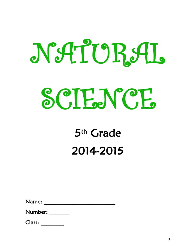 Natural Science 5th Grade | PDF | Electrical Conductor | Electricity