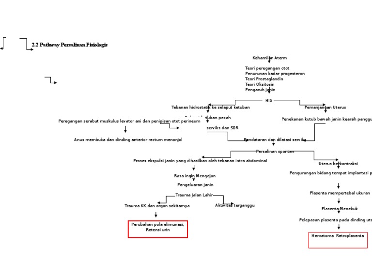 Pathway Persalinan Fisiologis | PDF