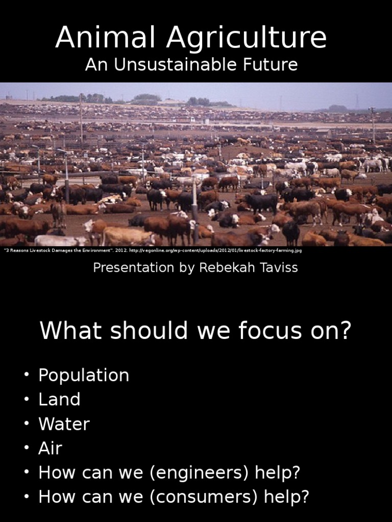 Animal Agriculture Presentation | PDF