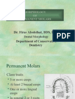 GV Black Principles | PDF | Tooth Enamel | Mouth