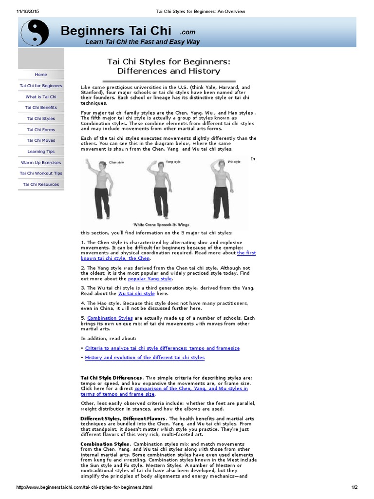 Tai Chi Styles For Beginners - An Overview | PDF | Tai Chi | Qi