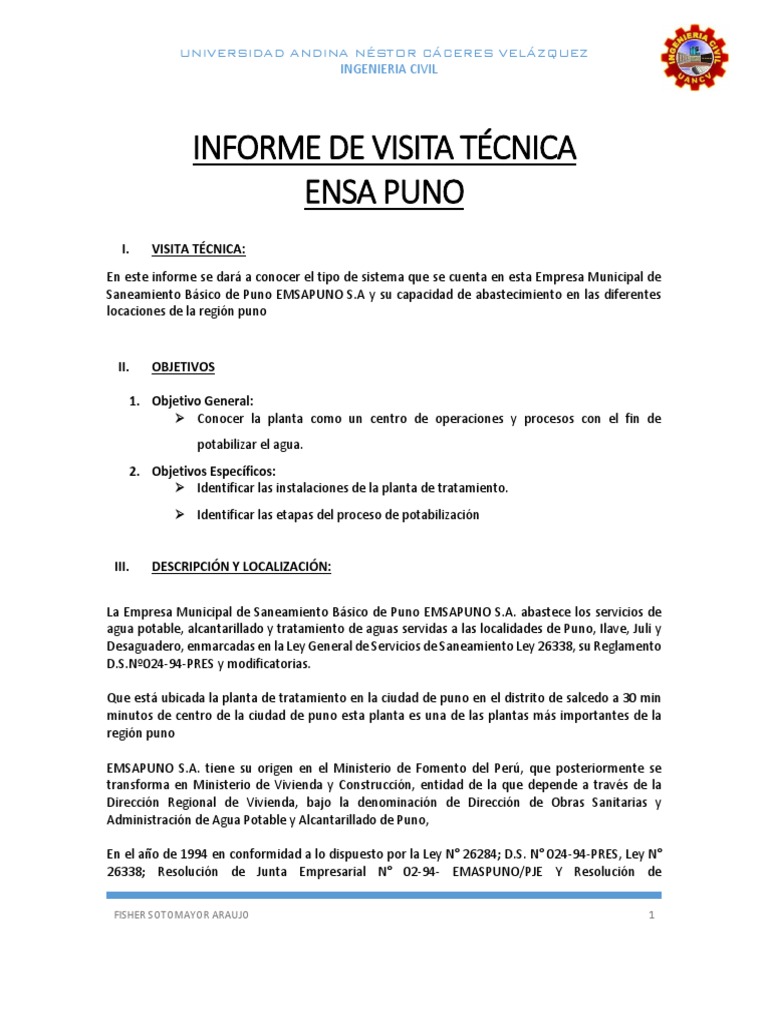 Informe de Visita Técnica Emsa Puno | PDF | Suelo | Agua