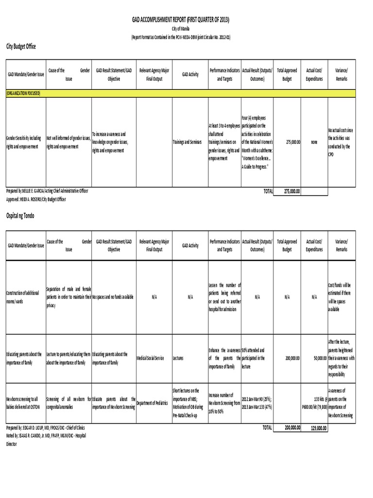 Gad Accomplishment Sample | PDF | Social Protection | Infants