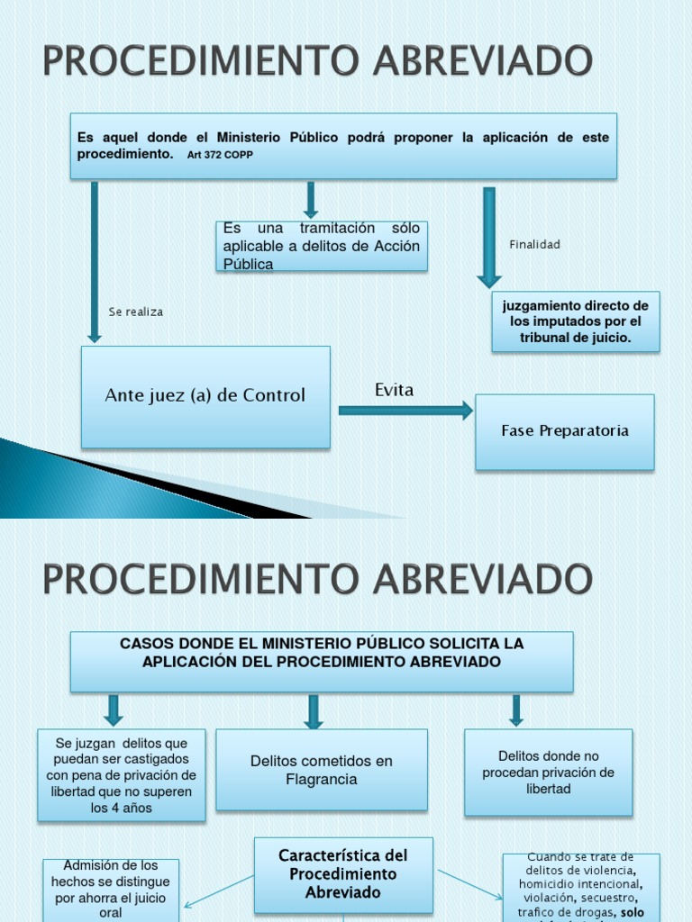 Procedimiento Penal Abreviado | Delito | Procedimiento Criminal