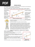 Clasificacion de Vertucci | PDF | Diente | Anatomia dental