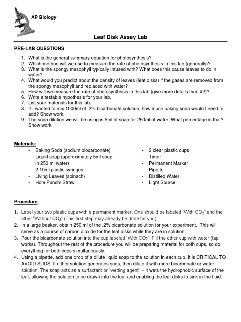 Photosynthesis Lab | PDF | Experiment | Syringe