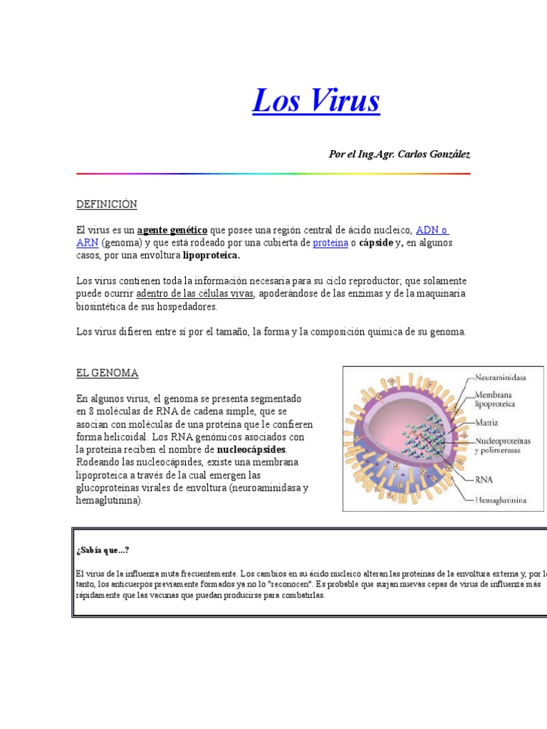 Los Virus | Virus | Célula (Biología)