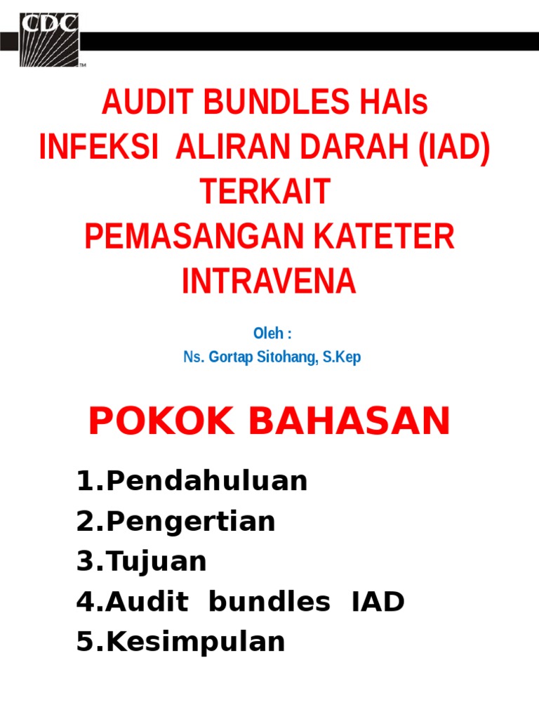 Audit Bundles Hais Iad | PDF