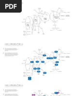 Cusack Protocol .. Supplement Dosages Information Chart. Word PDF | PDF ...