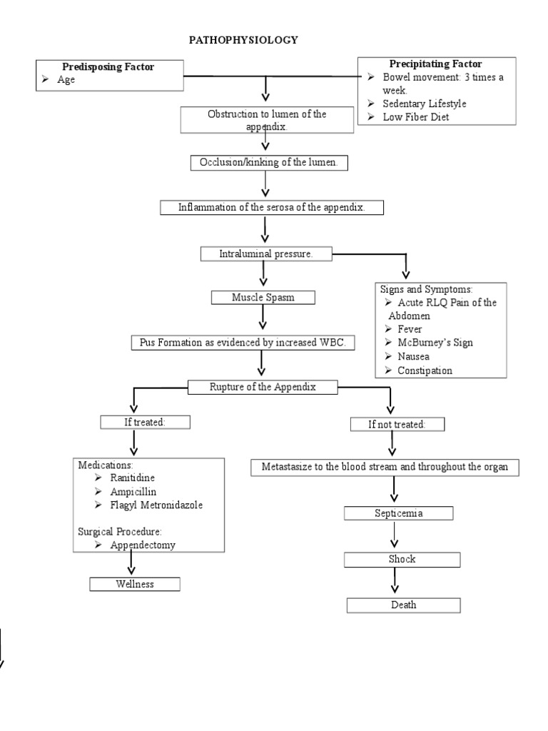 Pathophysiology - Appendicitis