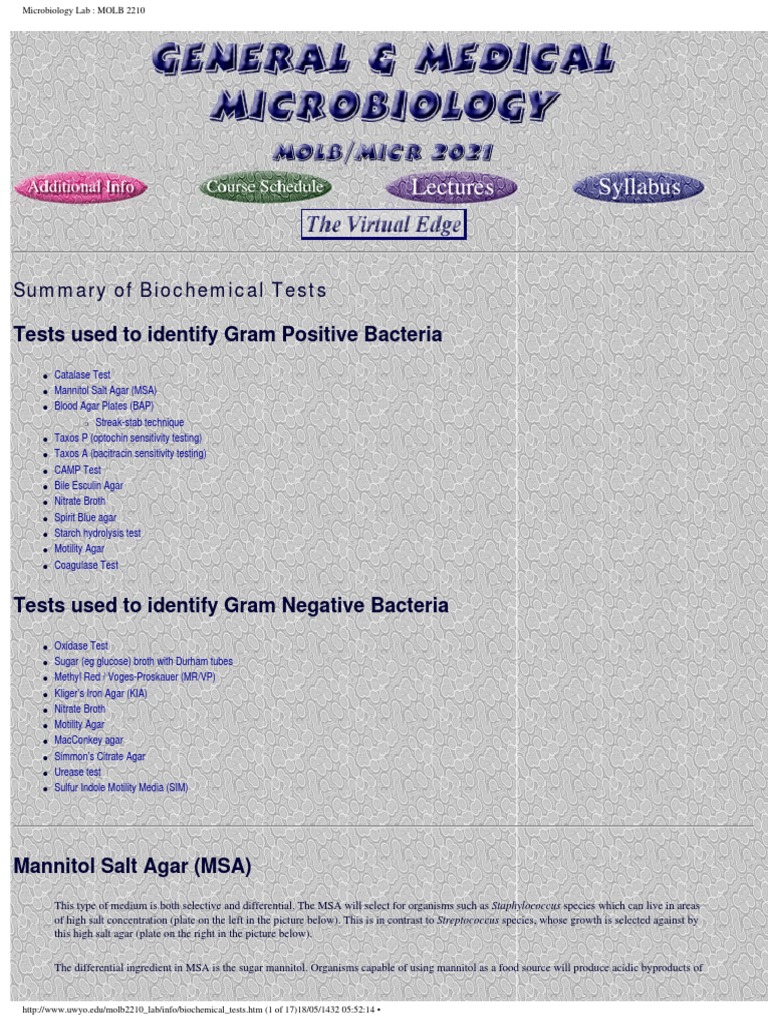 A Comprehensive Guide to Biochemical Tests for Identifying Gram ...
