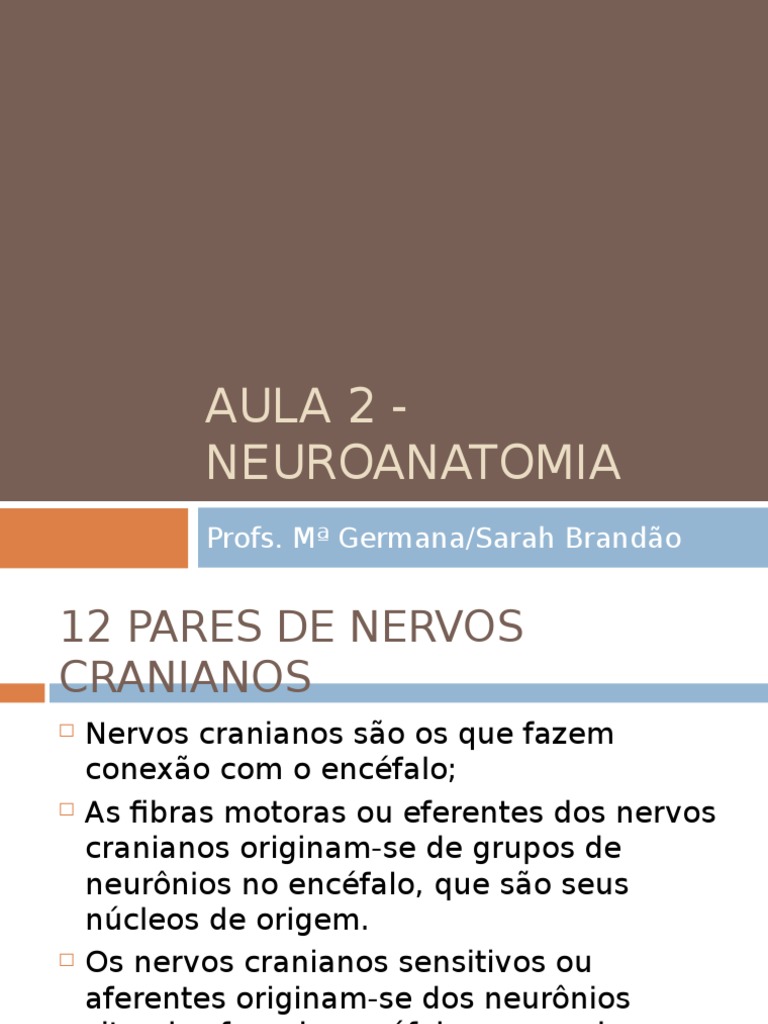 12 Pares de Nervos Cranianos: Funções e Classificação | PDF ...