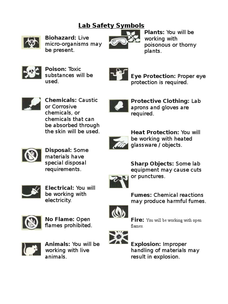 Essential Lab Safety Symbols Guide | PDF | Science & Mathematics ...