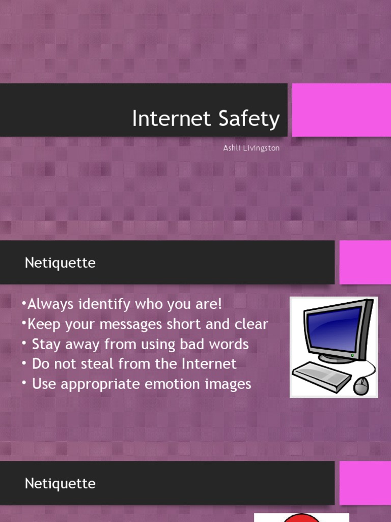 Internet Safety | PDF