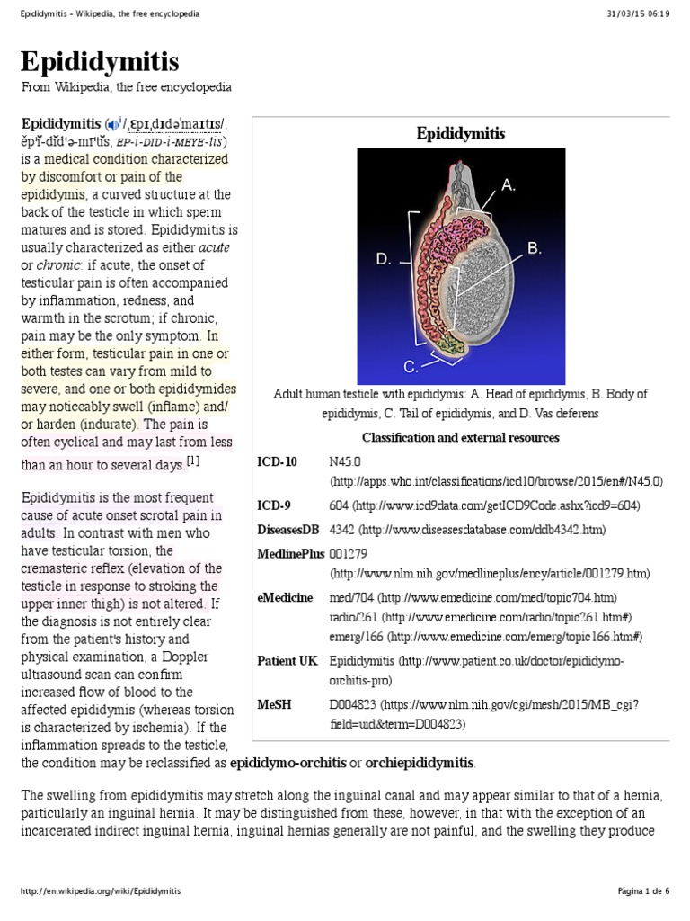 Wikipedia - Epididymitis (CHECKED) | PDF | Genitourinary System ...