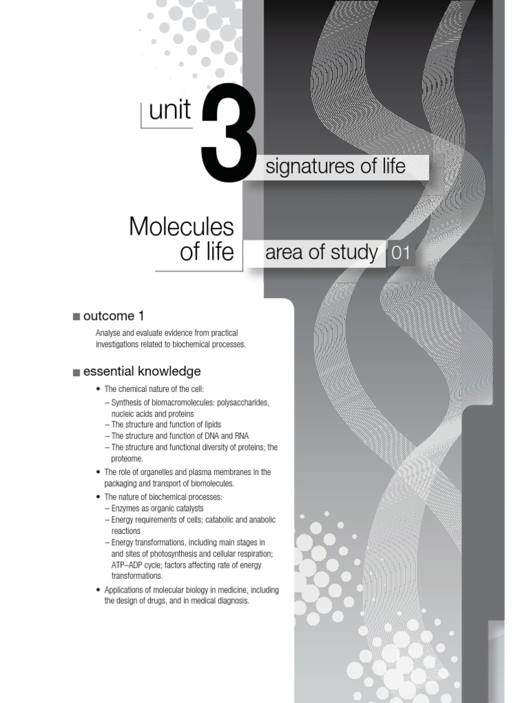 VCE 2 Worksheets | PDF | Photosynthesis | Cell (Biology)