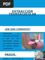 Técnica de Bass Modificada | PDF | Diente | Odontología