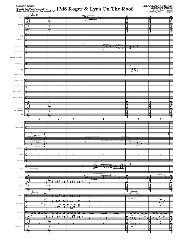 1M8 Roger & Lyra On The Roof | PDF | Organology | Musical Compositions
