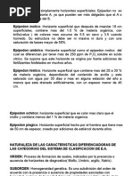 Epipedon y Endopedon | PDF | Arcilla | Suelo