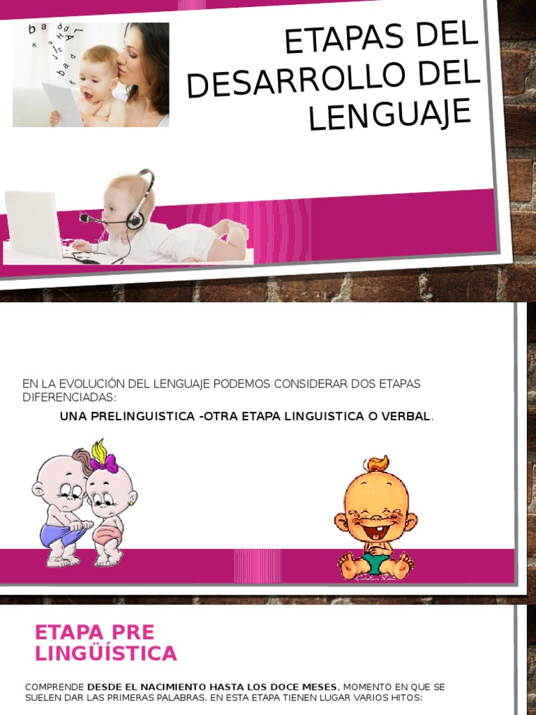 Etapas Del Desarrollo Del Lenguaje Expo 1 | PDF