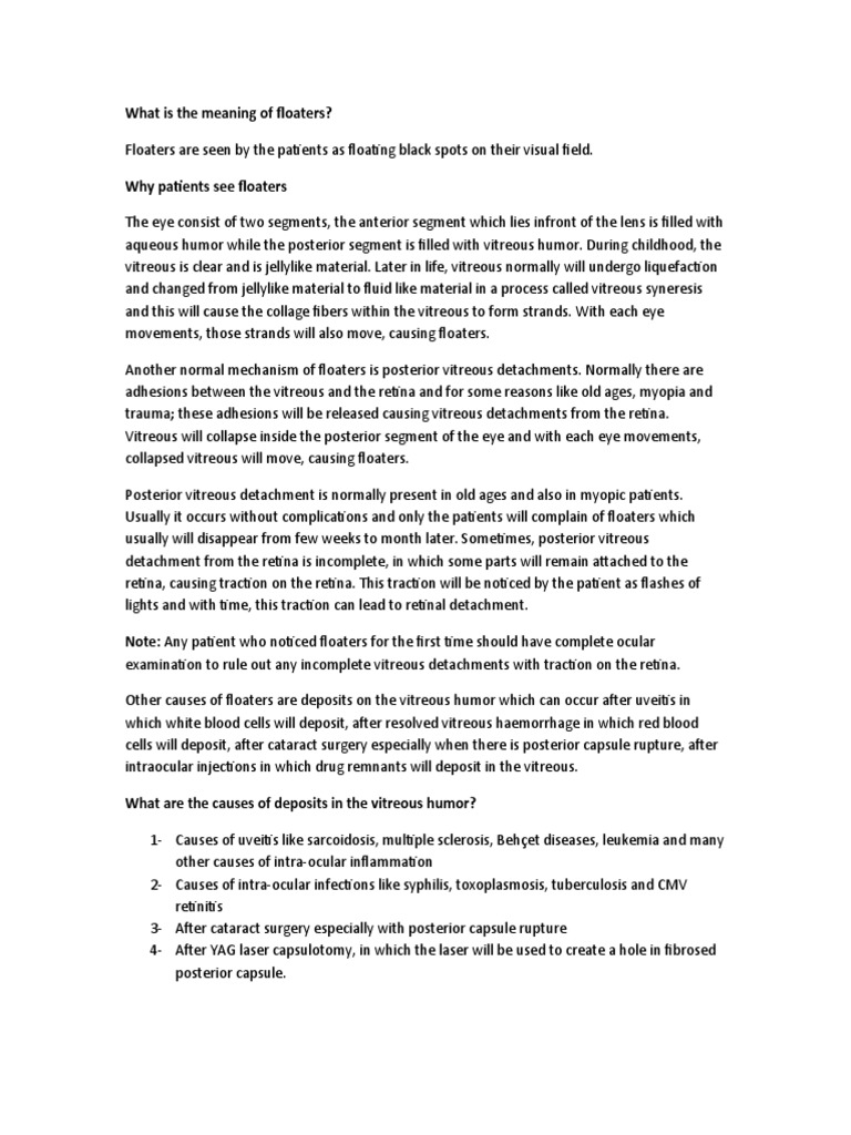 What Is The Meaning of Floaters | PDF | Vision | Ophthalmology