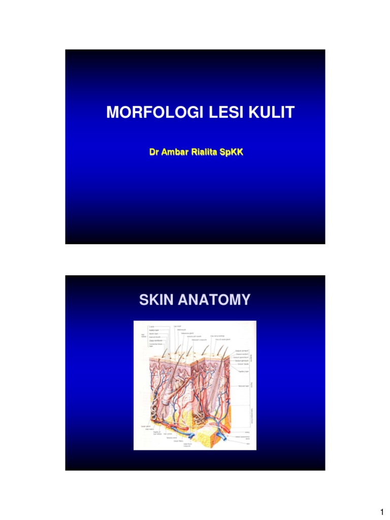 Morfologi Lesi Kulit KKD | PDF