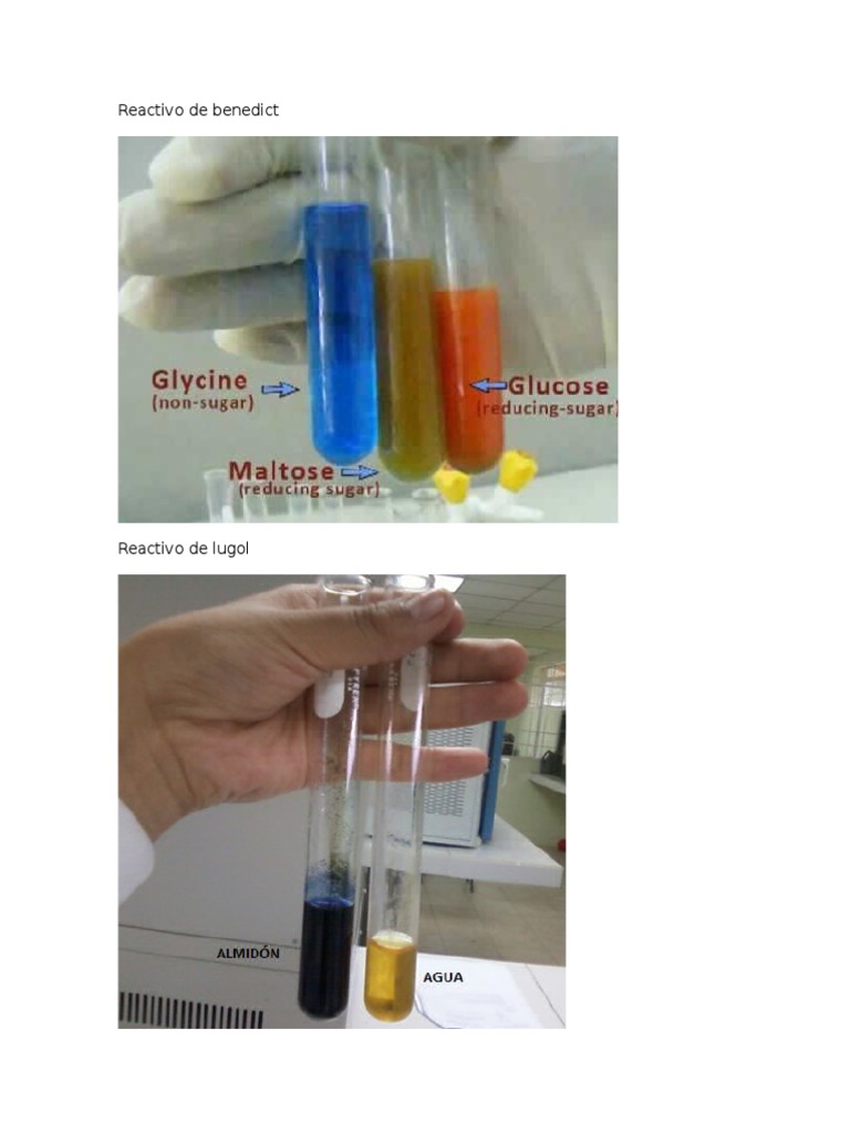 Reactivo de Benedict | PDF