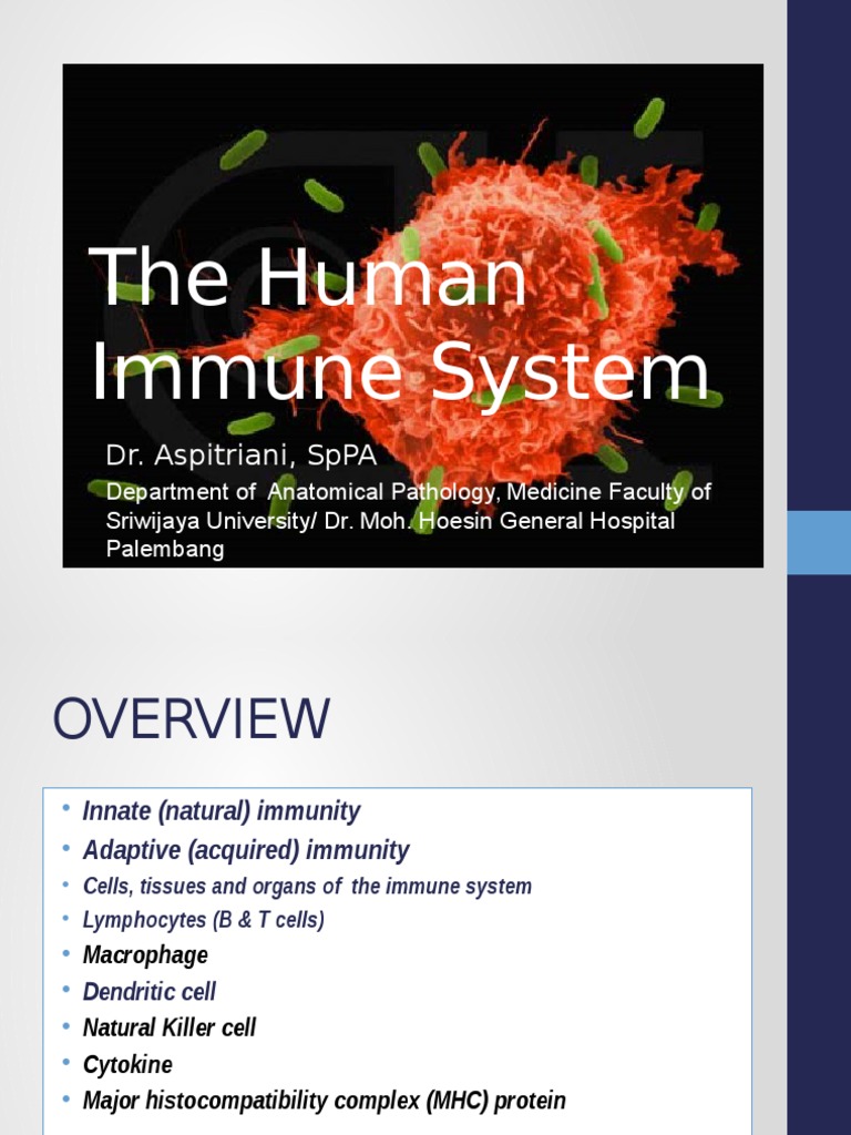 It 4 - Sel Dan Jaringan Sistim Imun | PDF | Immune System | Lymphatic System