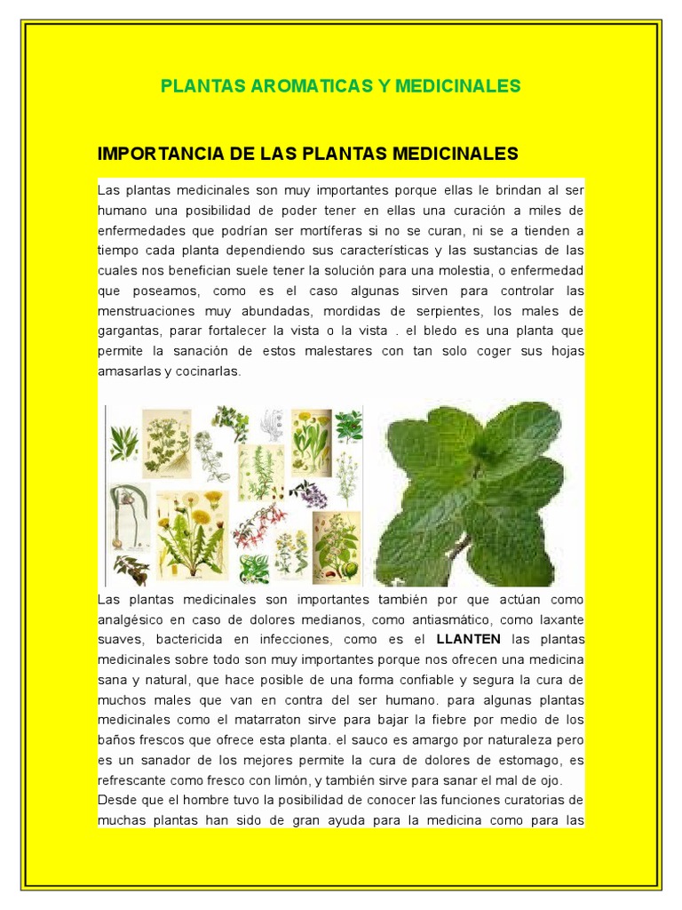 Importancia de las Plantas Medicinales | PDF | Plantas medicinales ...