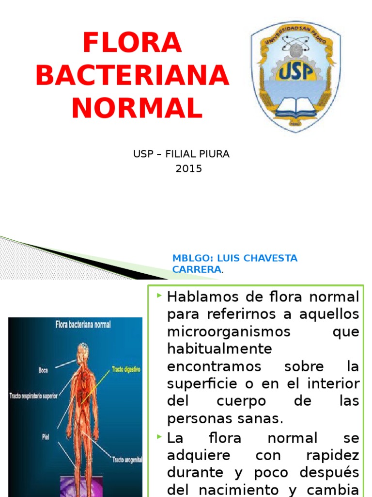 Flora Bacteriana Normal | Descargar gratis PDF | Microbiología | Las ...