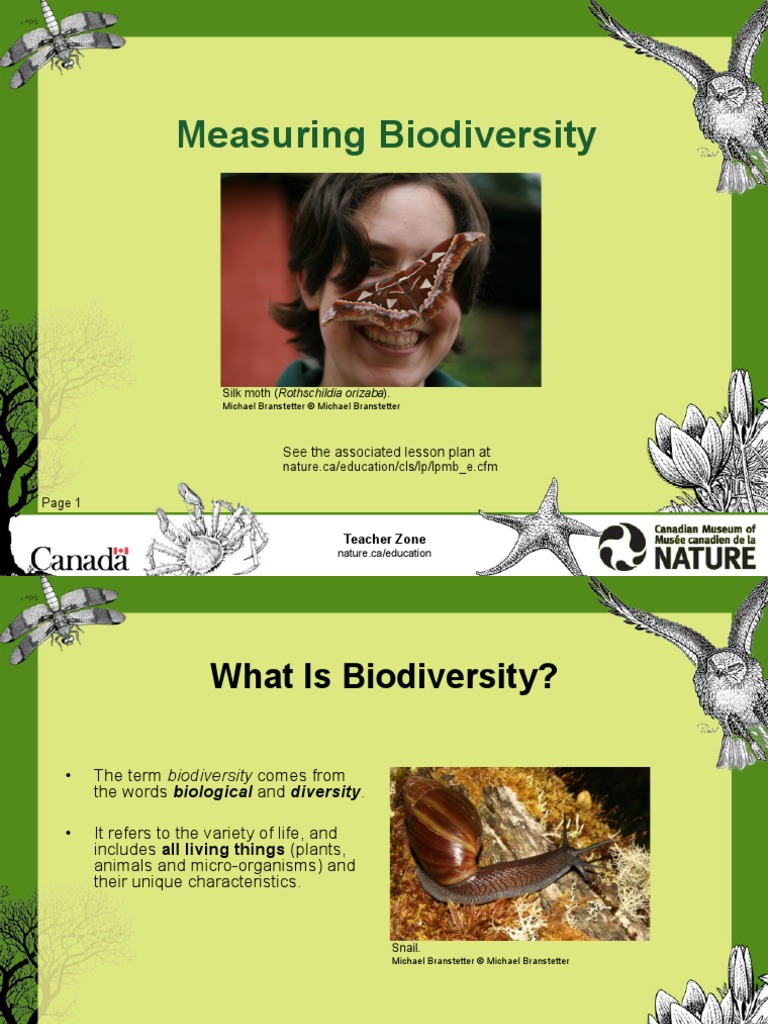 Measuring Biodiversity: See The Associated Lesson Plan at | PDF ...