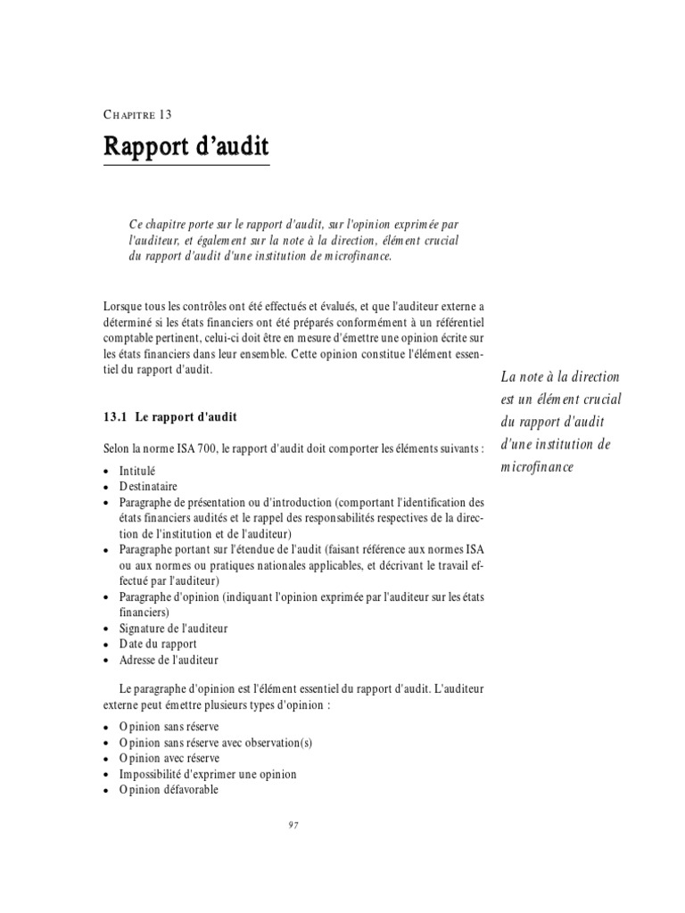 Rapport D'audit | PDF | Audit | La microfinance