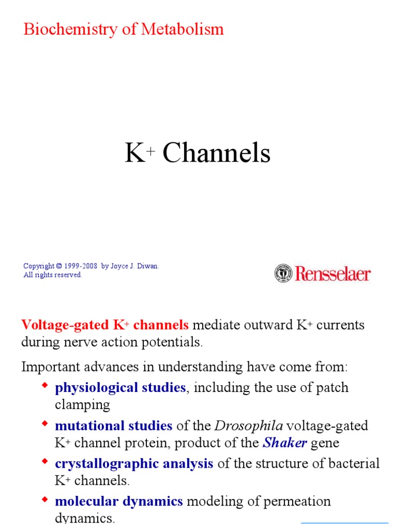 K Channels: Biochemistry of Metabolism | PDF | Transmembrane Protein ...