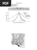 Raphex Questions | PDF | Radioactivity | Sets Of Chemical Elements