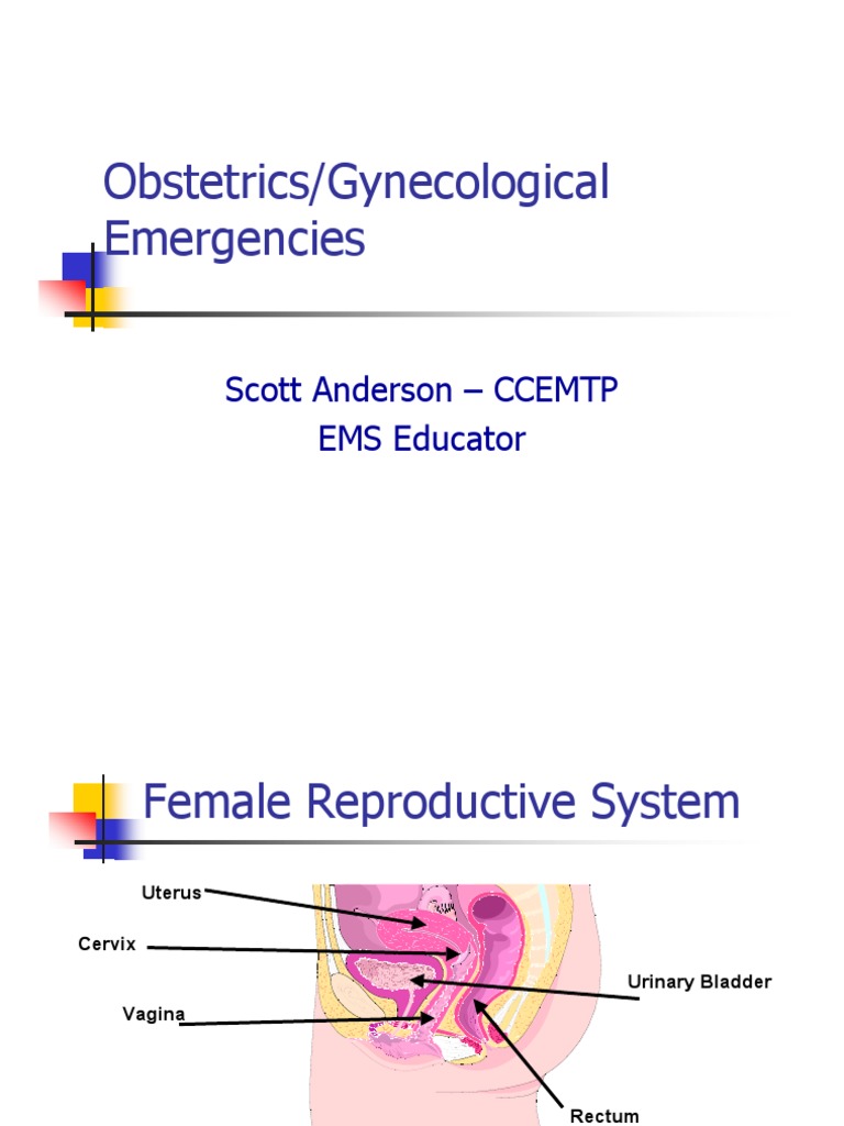 Obstetric Emergencies | Pregnancy | Miscarriage